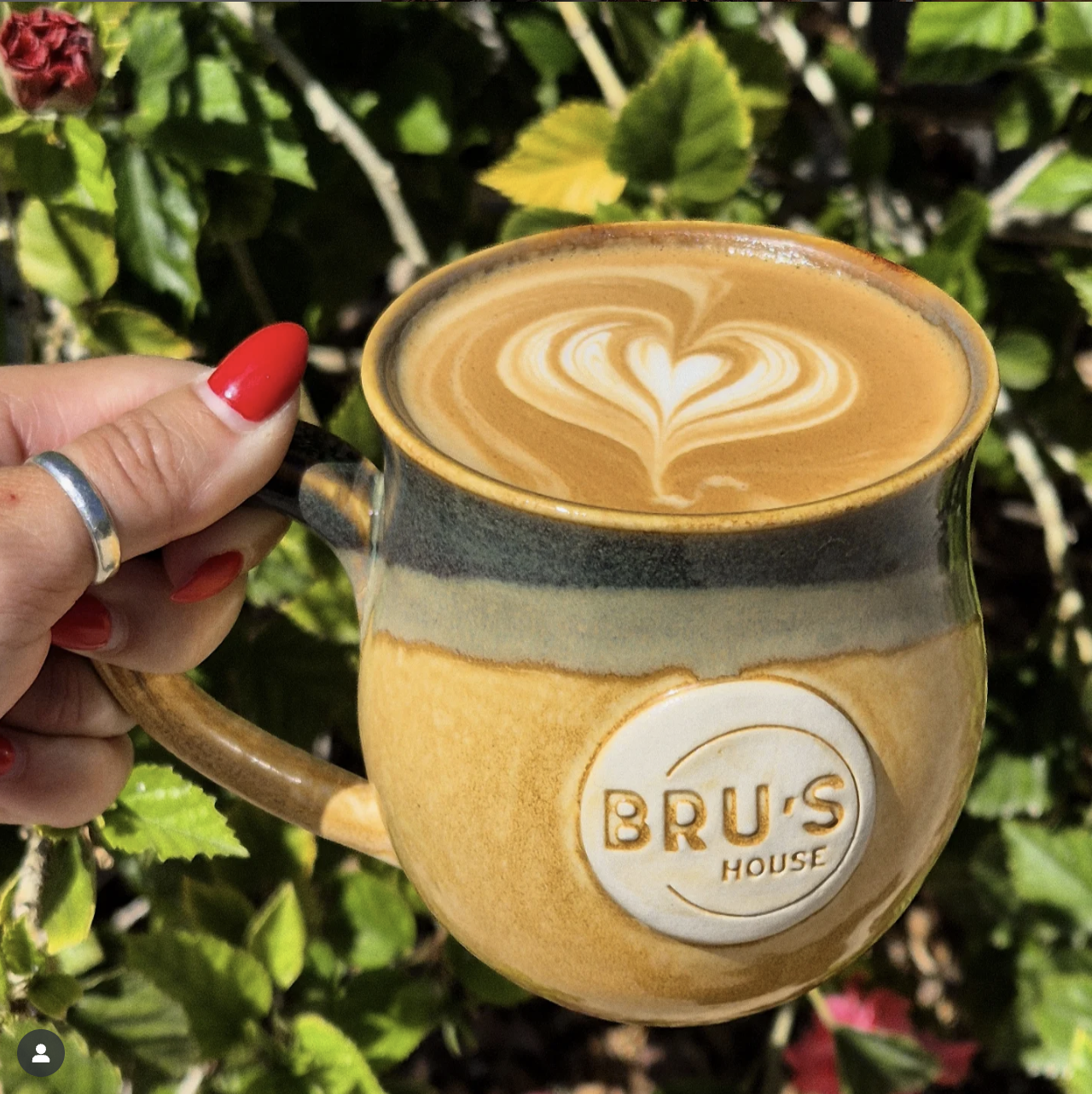 Bru's House | Coastal Cafe in Golden Bay